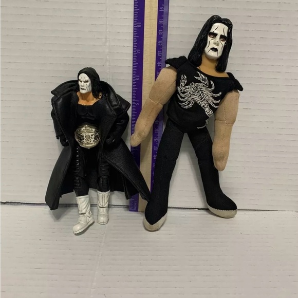 Toys | 1999 Wrestling Wcw 65 Sting Action Figure An 1999 Plush Doll ...